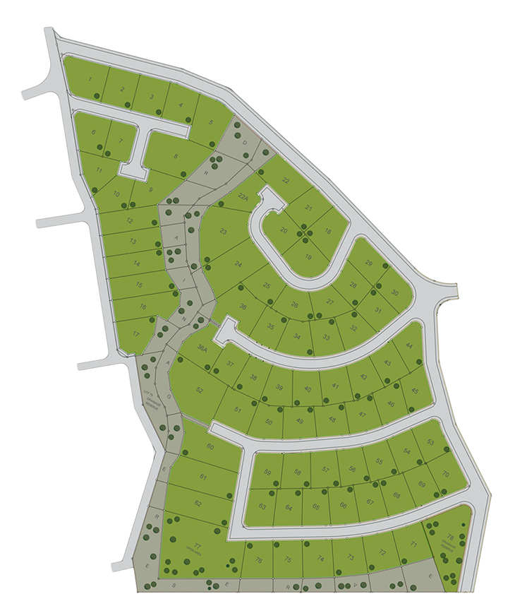 BPWCCUL | Vineyard Development